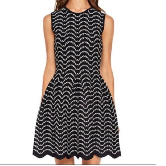 Ted Baker London | Dresses | Ted Baker Bryena Black White Jacquard Fit ...